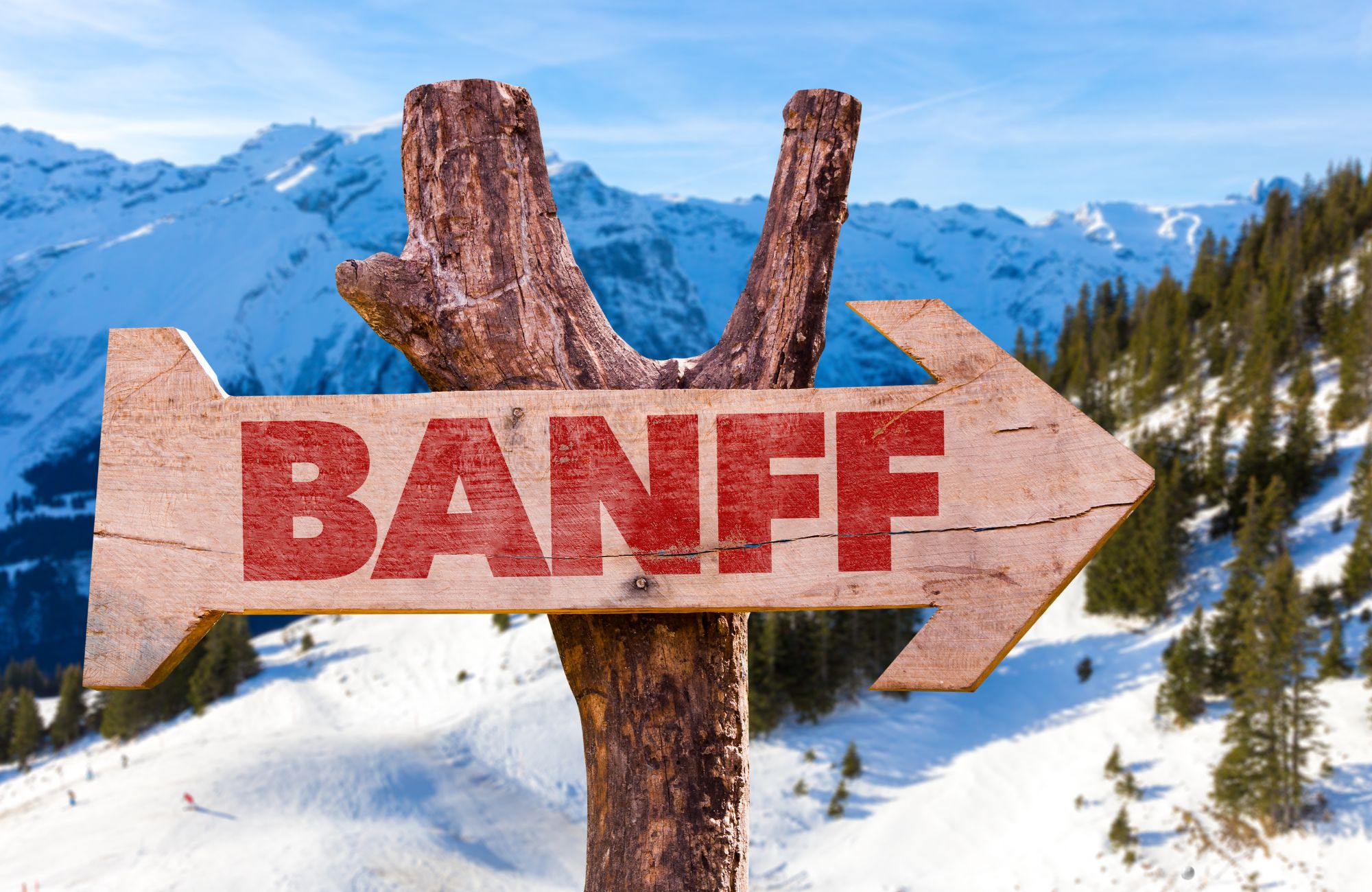 Banff – best bars and nightlife - Lovemytrips.com
